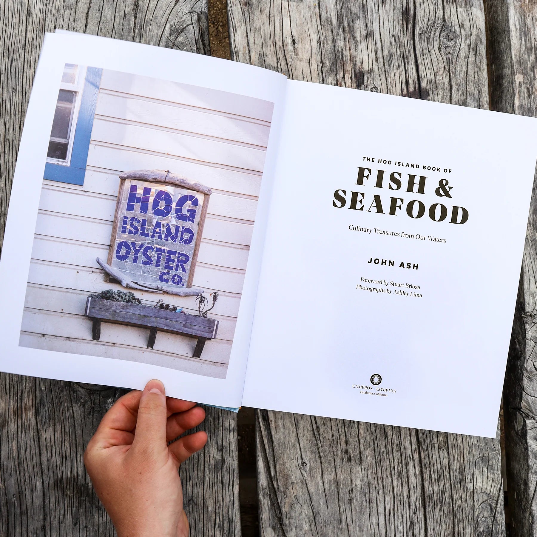 The Hog Island Book of Fish & Seafood – Matilda's Life Style